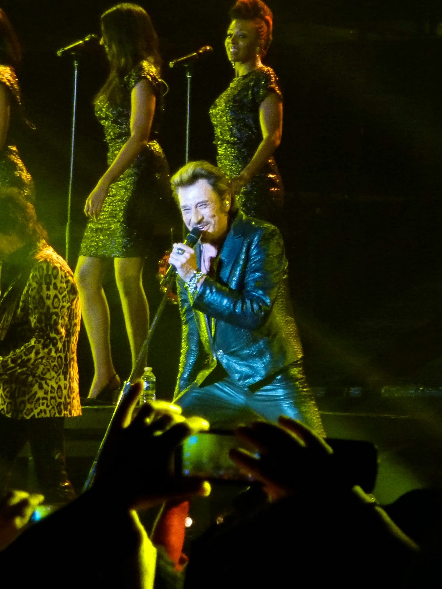 Johnny Hallyday : Born Rocker Tour - Bercy, Paris (2013)
