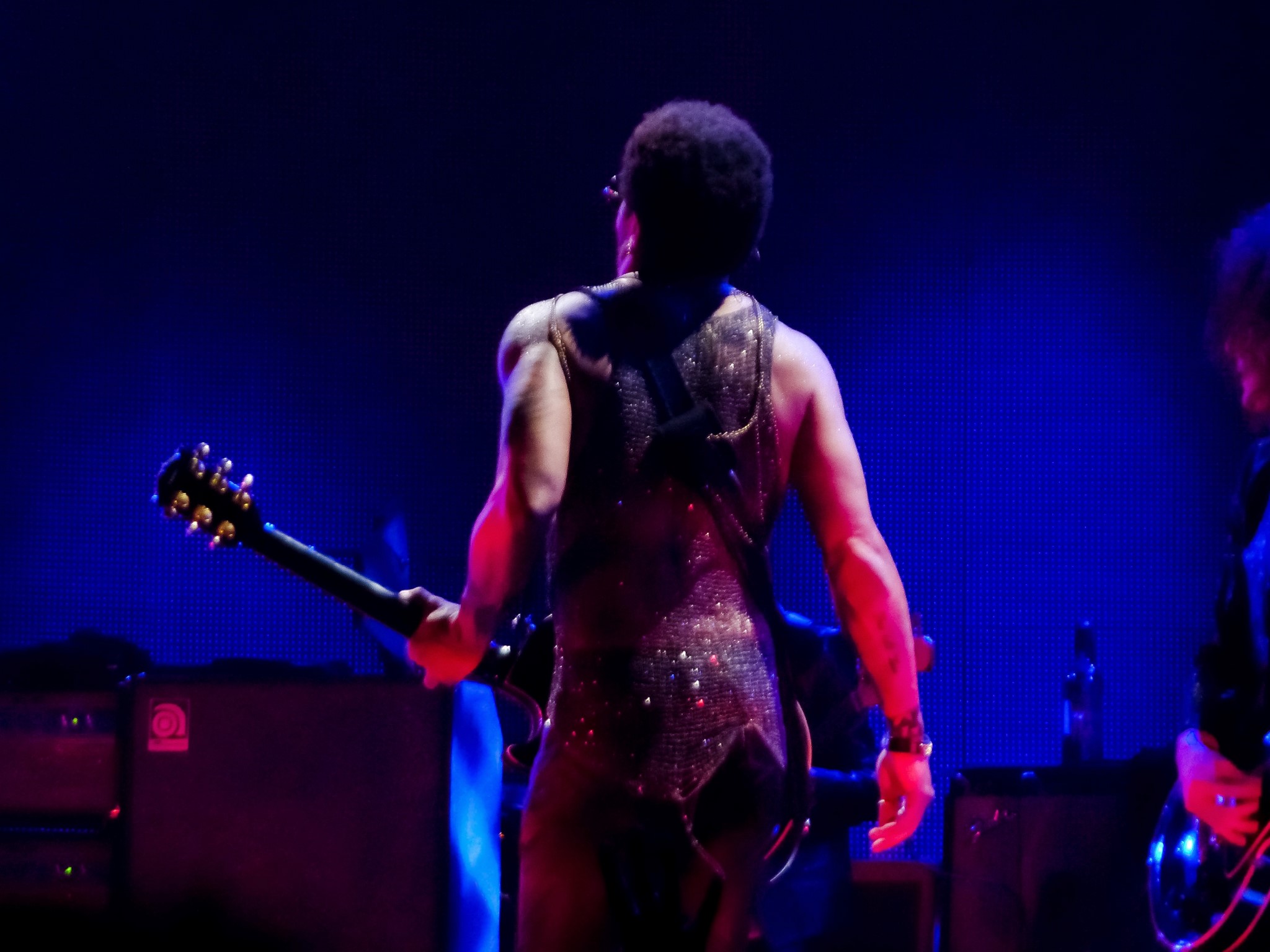Lenny Kravitz : Strut Tour - Bercy, Paris (2014)