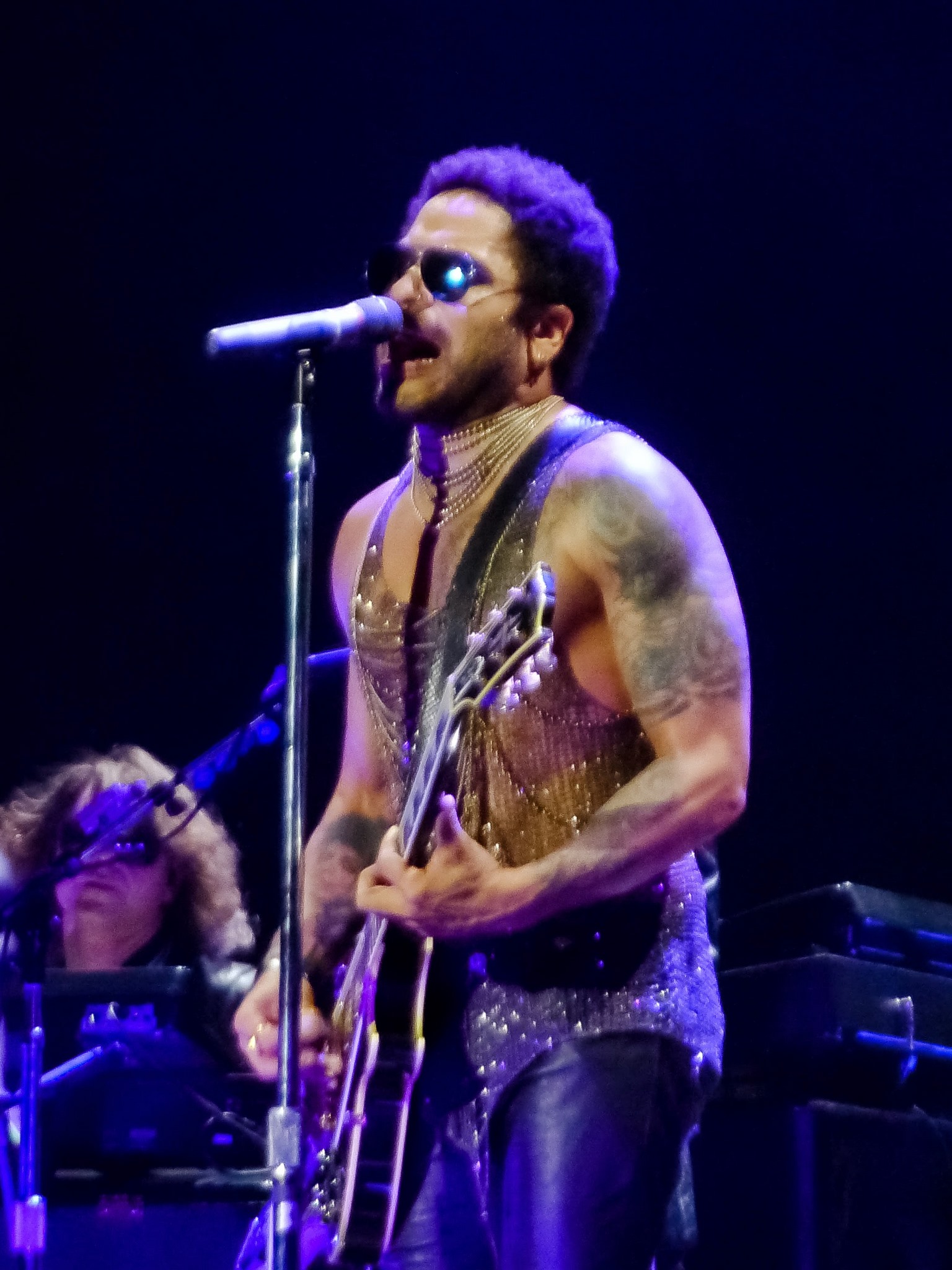 Lenny Kravitz : Strut Tour - Bercy, Paris (2014)